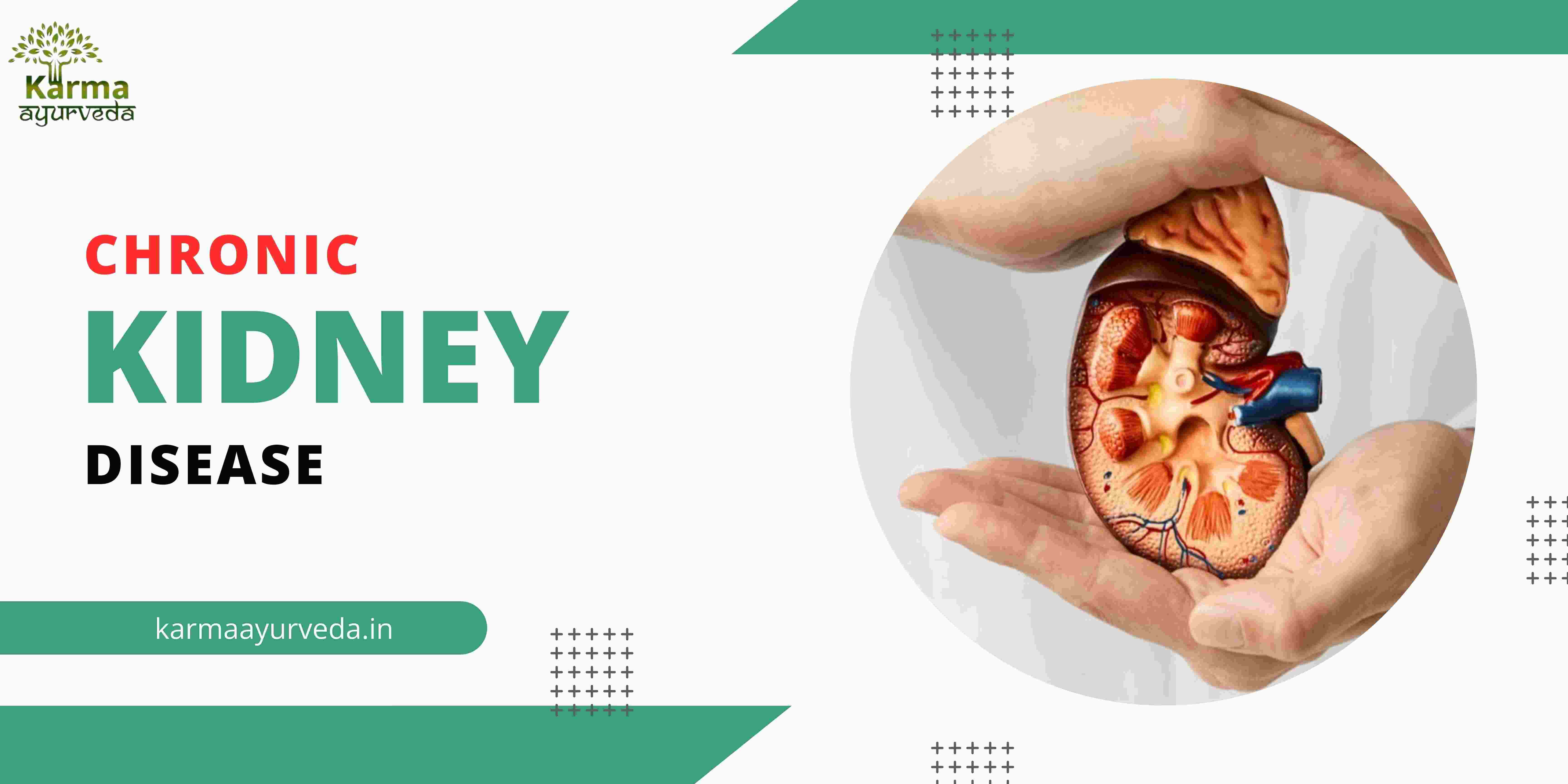 Chronic Kidney Disease (CKD) - Karma Ayurveda