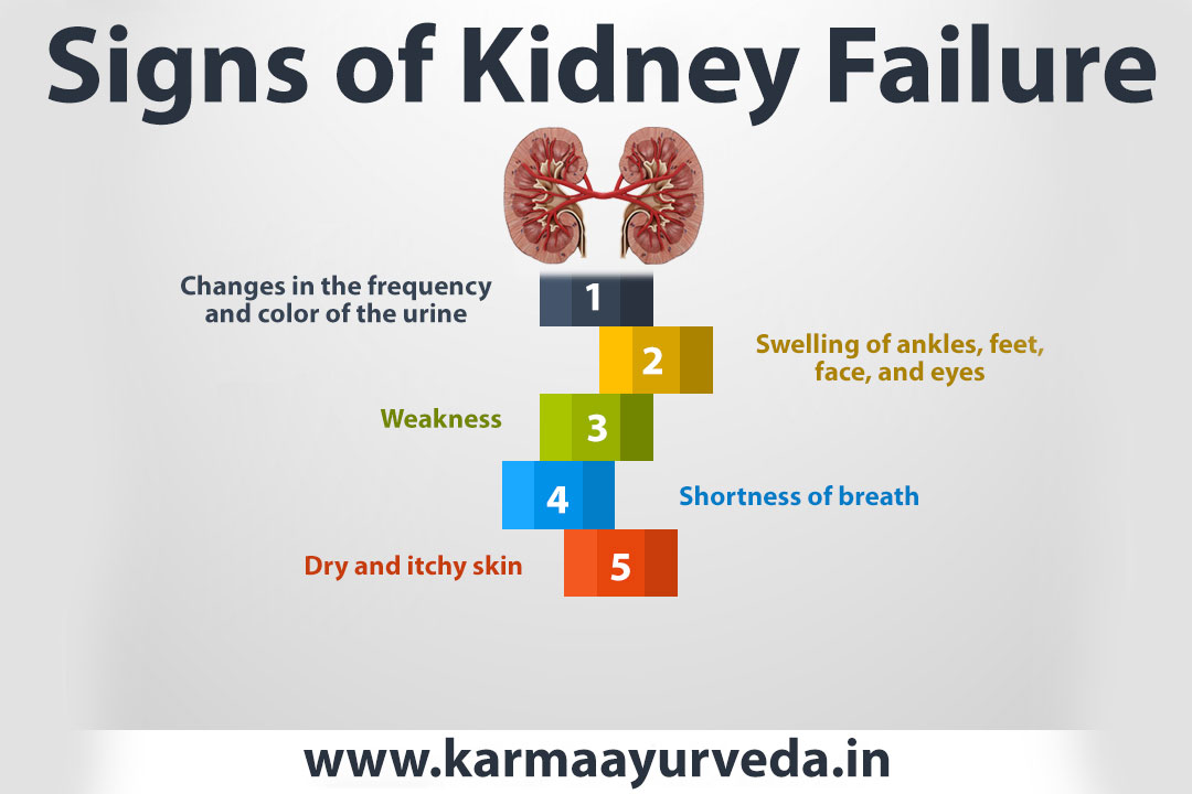 How To Check Kidney Function At Home how-to-check-kidney-function-at-home