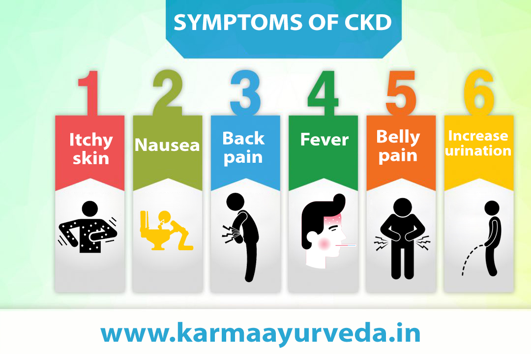 Is Curd Good For CKD Patients