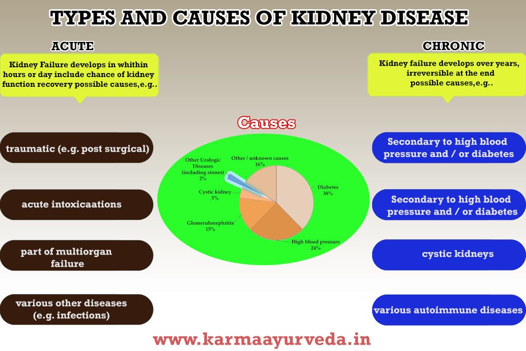 How kidney Disease Happen?
